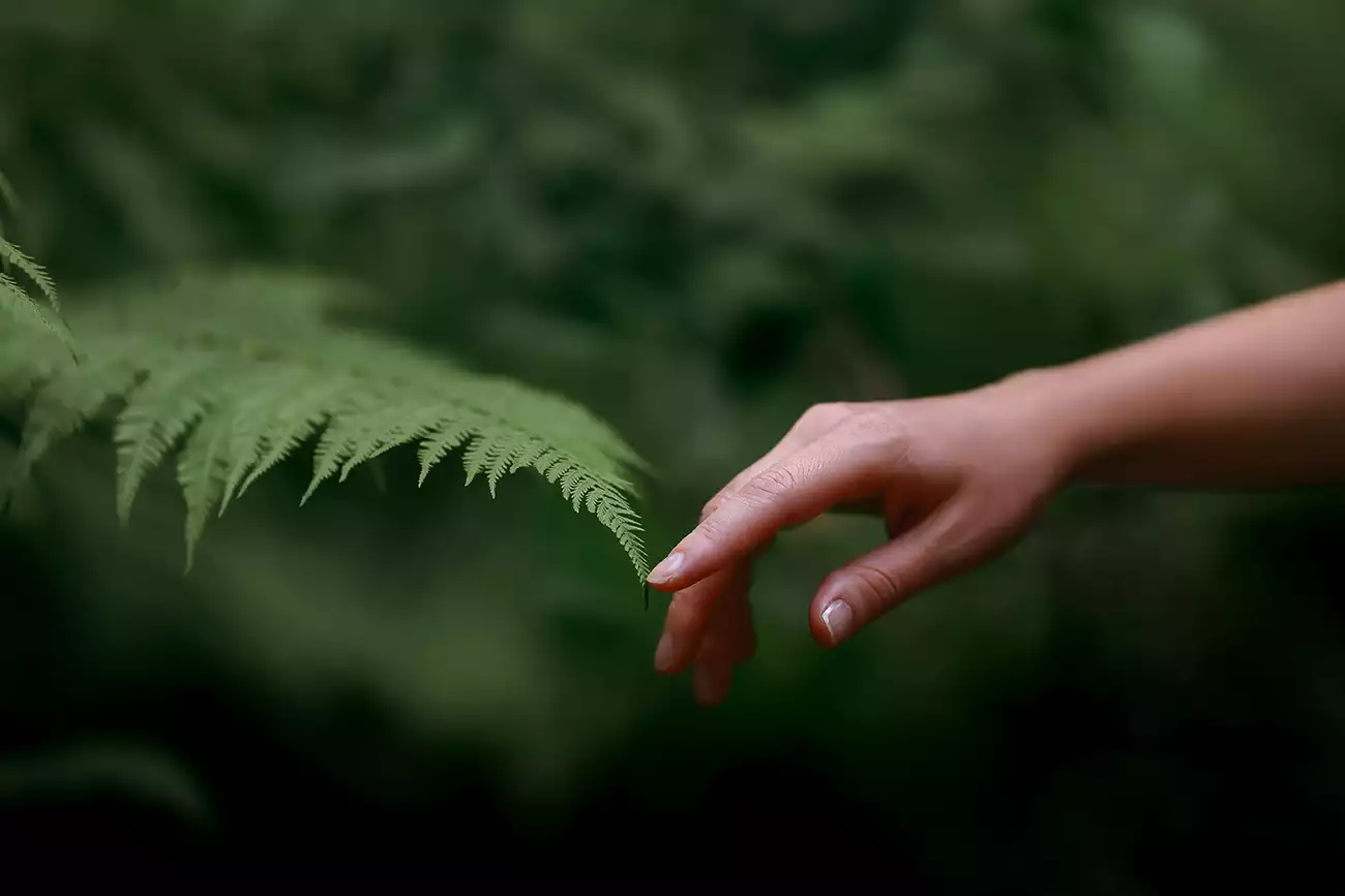Respect for the Environment - BECC